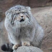 tRPC-Go demotRPC 是腾讯开源的多语言、插件化、高性能的 RPC 开发框架。 tRPC-Go，作为 tRP - 掘金