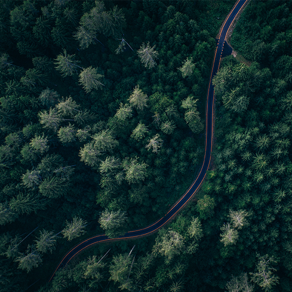 九号Xyber车主吐槽：这些痛点没人告诉我？_懂车帝